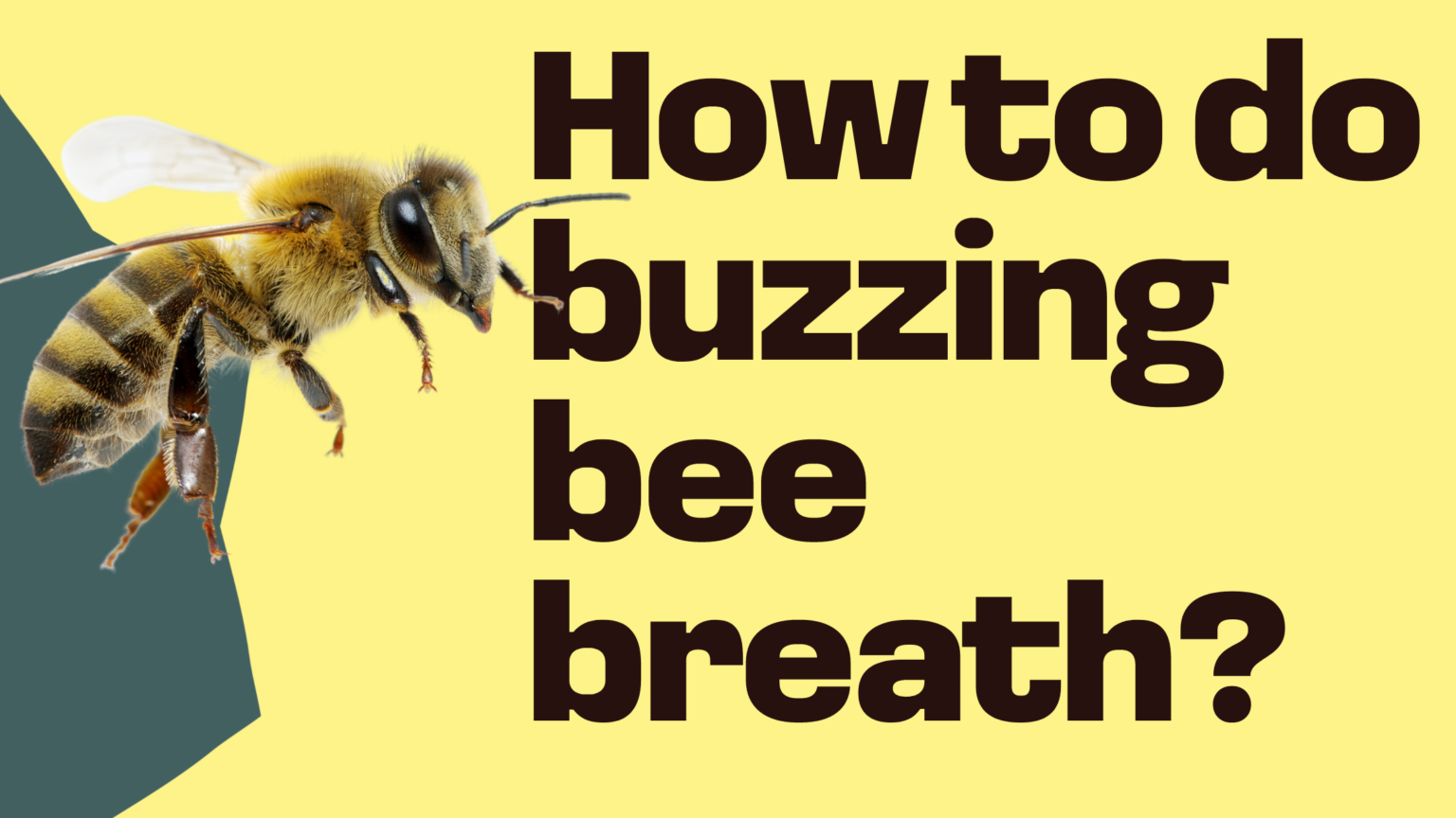 WHAT IS BUZZING BEE BREATH? - WONDER YOGA